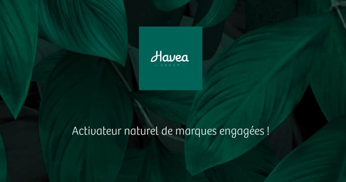 Havea recrute. 55 offres d'emploi